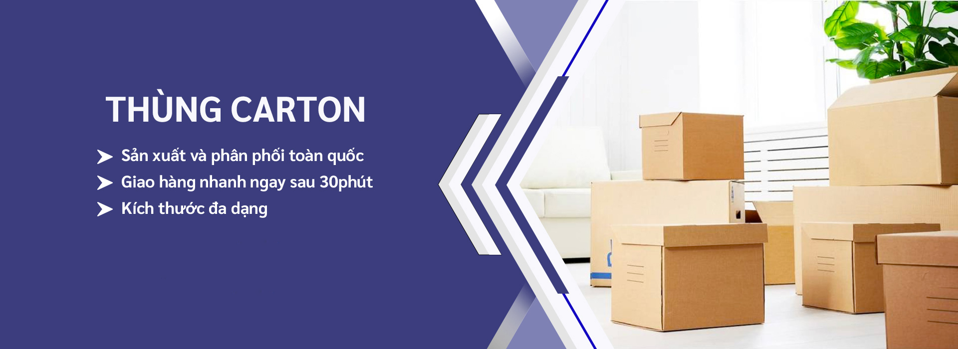 Công ty TNHH Giải Pháp Đóng Gói Thông Minh INTBOX